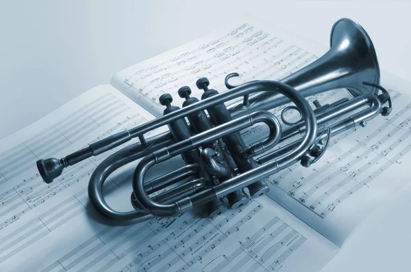 Wind instruments Stock Photos, Royalty Free Wind instruments Images ...