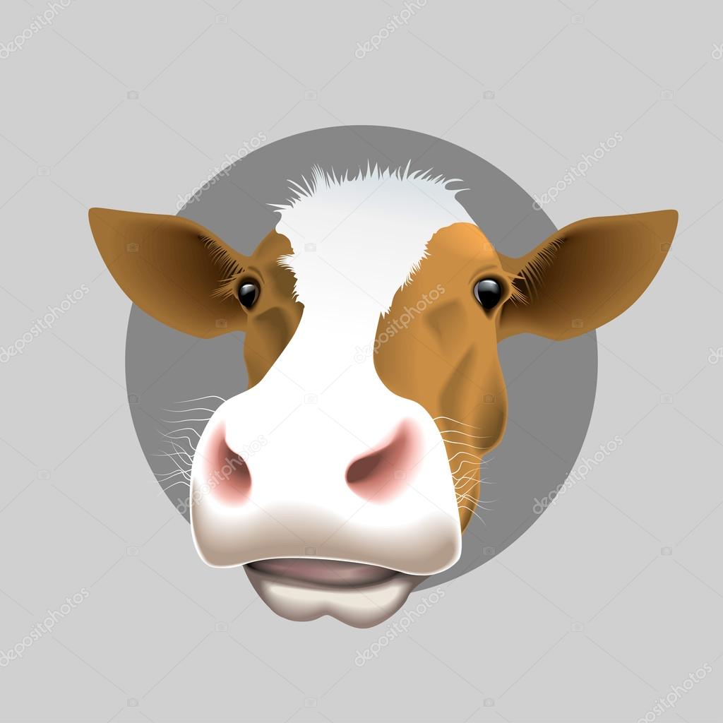 Holstein Cow Face Vector - All About Cow Photos