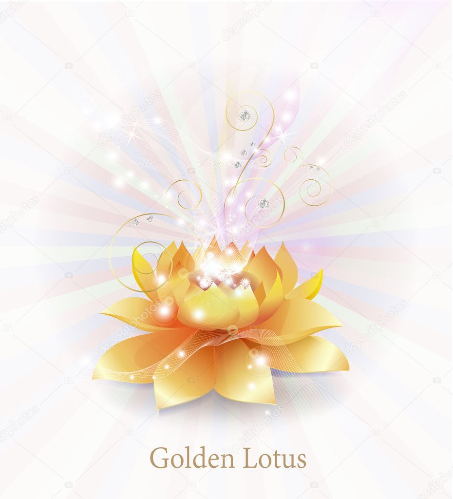 Golden Lotus ⬇ Vector Image by © LindaShutoff | Vector Stock 43884973