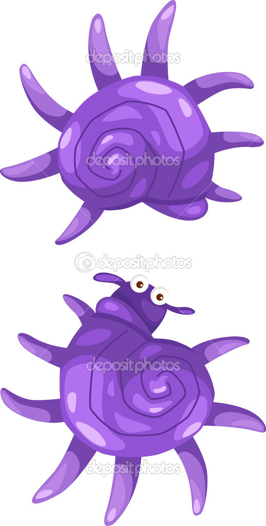 Shell Stock Vector Image by ©jehsomwang #43422661