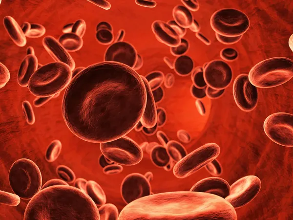 Circulation des globules rouges Stock Photos, Royalty Free Circulation ...