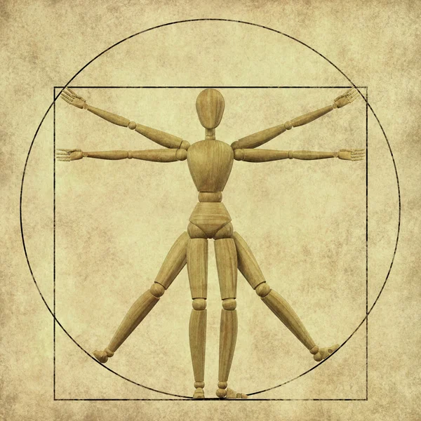 Vitruvian man Stock Photos, Royalty Free Vitruvian man Images ...