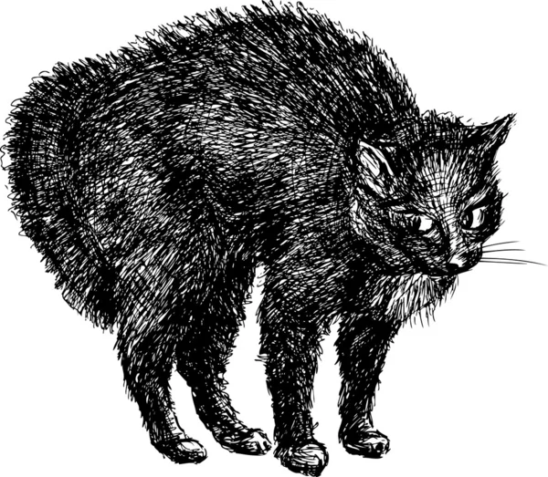 26,781,880 Swamp cat Vector Images | Depositphotos