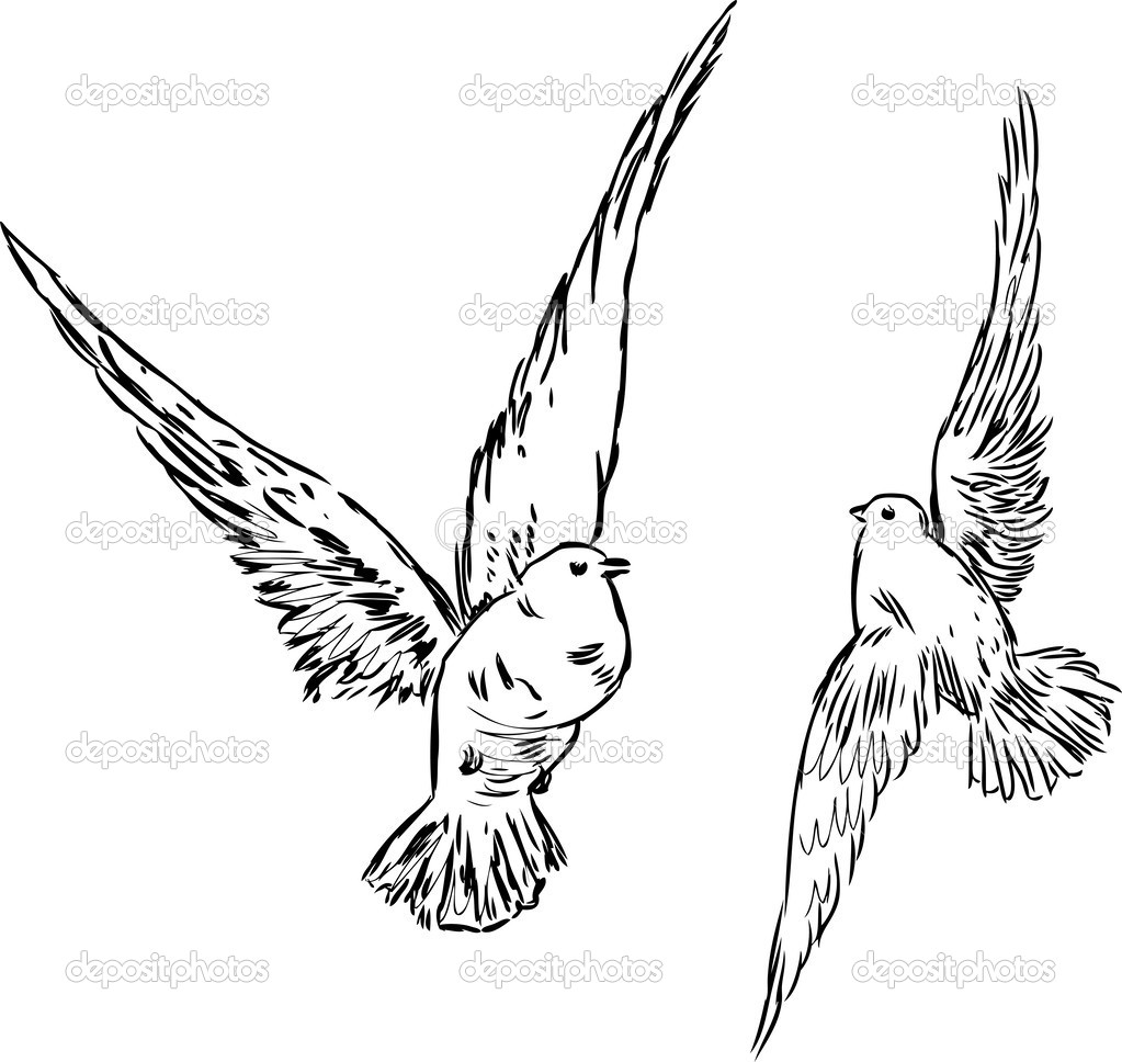 Dos palomas Vector de stock #43426667 de ©chronicler101