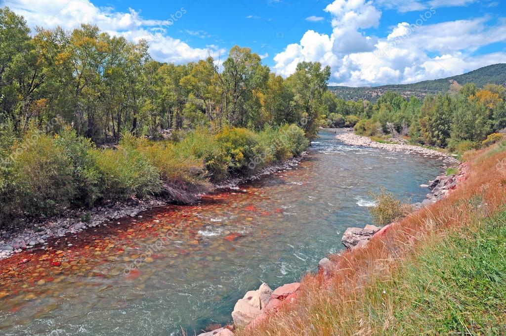 Pictures : trout fishing streams | Trout Fishing Stream — Stock Photo ...