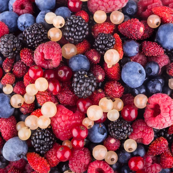 Berry background Stock Photo by ©mvw@tut.by 47224909