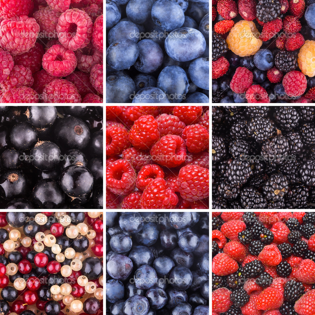 Collection of 9 berry backgrounds Stock Photo by ©mvw@tut.by 47223027