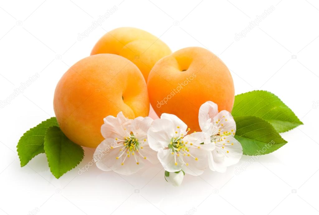 Apricots — Stock Photo © mvw@tut.by #48192839