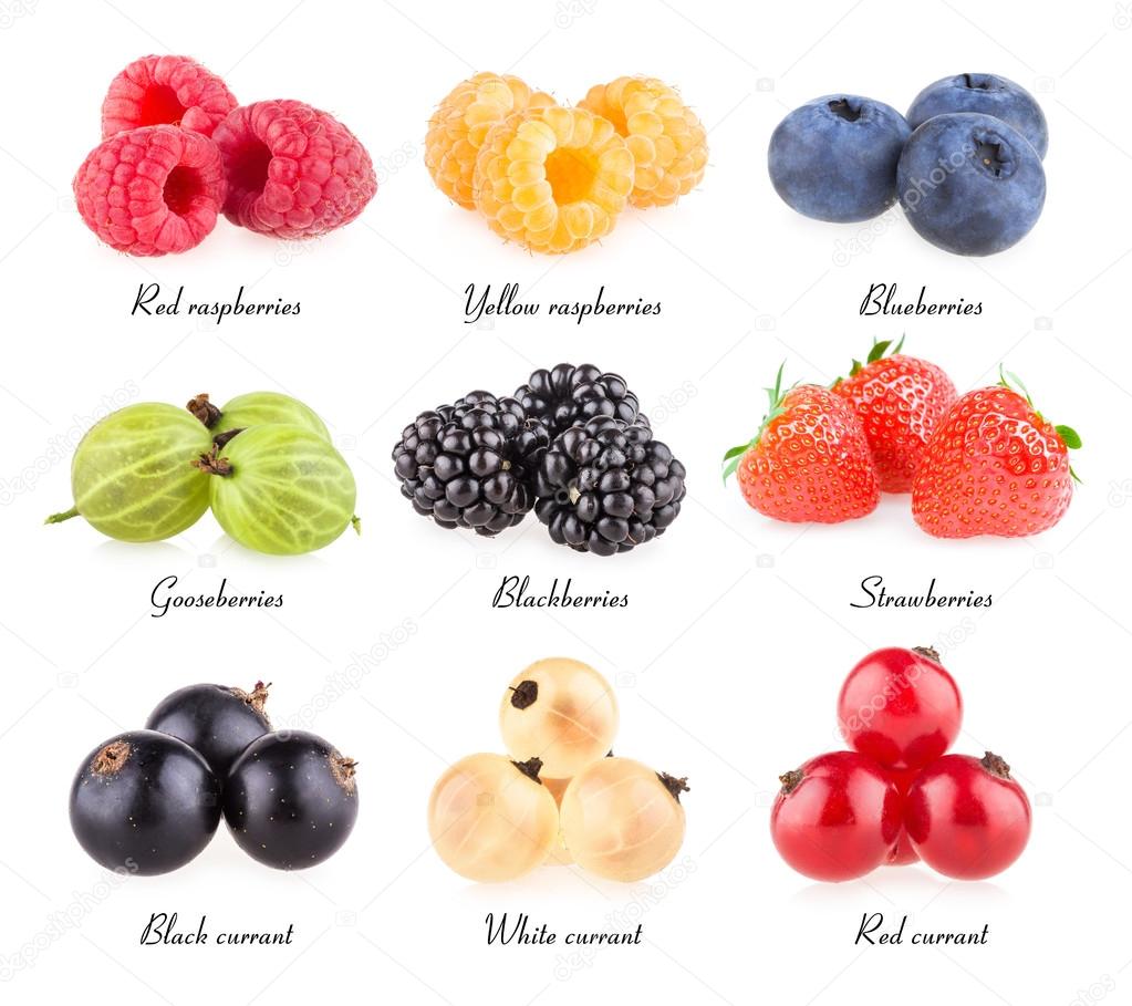 Collection of 9 berries — Stock Photo © mvw@tut.by #50491569