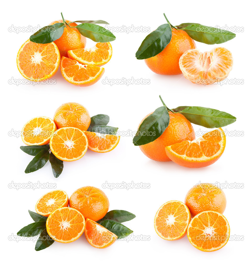 Collection of 6 mandarin — Stock Photo © mvw@tut.by #50492521