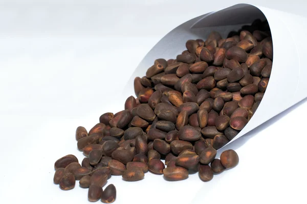 Palm kernel seed Stock Photos, Royalty Free Palm kernel seed Images ...