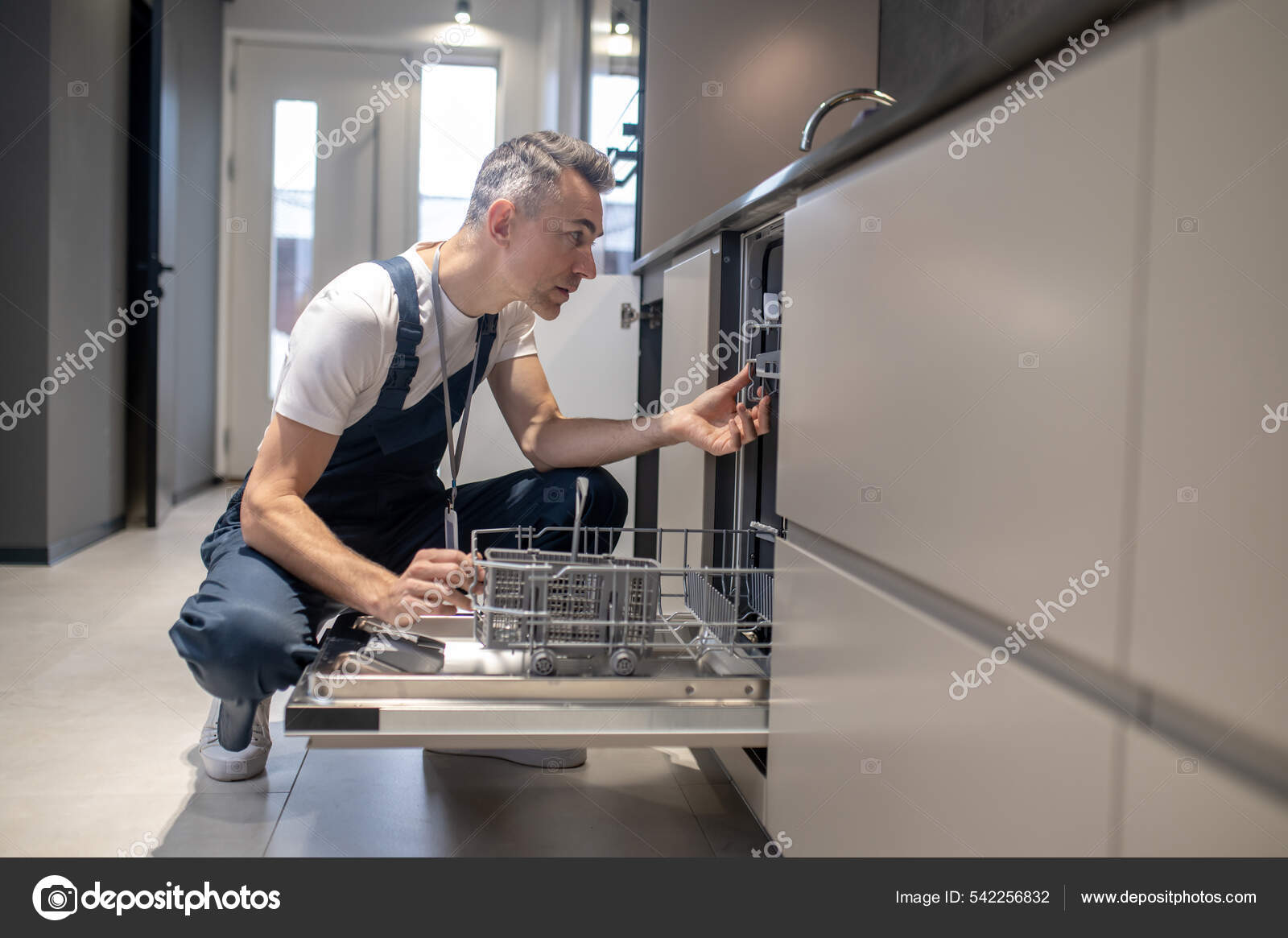 Man squatting peeking into dishwasher in kitchen Stock Photo by ©Dmyrto ...