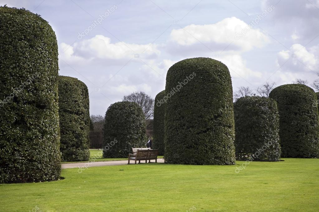 Pollard trees in Hyde-park Stock Photo by ©elenarostunova 45383407
