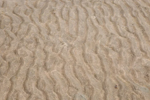 Beach texture Stock Photos, Royalty Free Beach texture Images ...