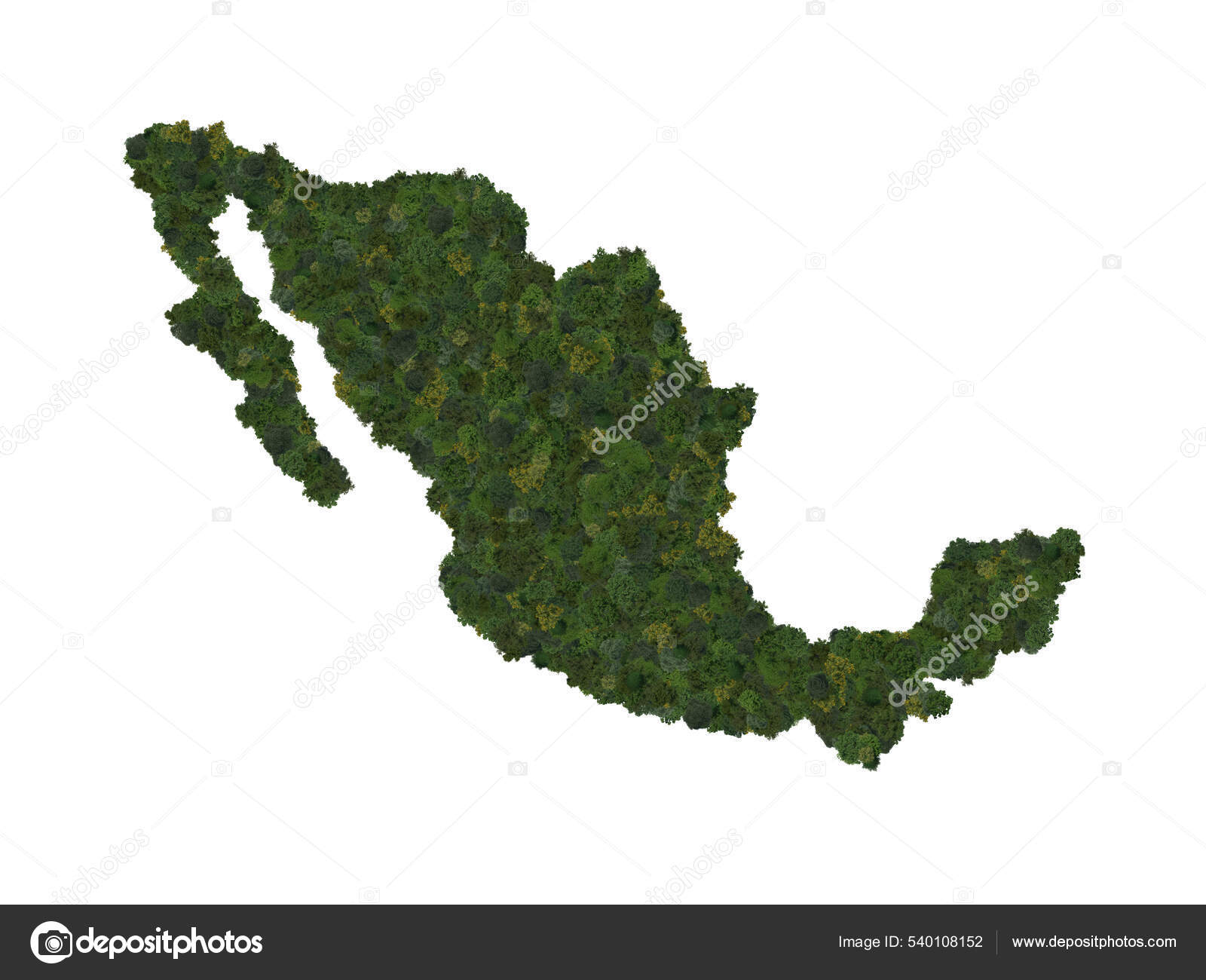 Top View Forest Trees Forming Map Mexico Top View Environmental — Stock ...