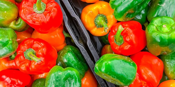 Sweet Bell Pepper Colored Fruit Counter Market Store Healthy Meal Stock ...