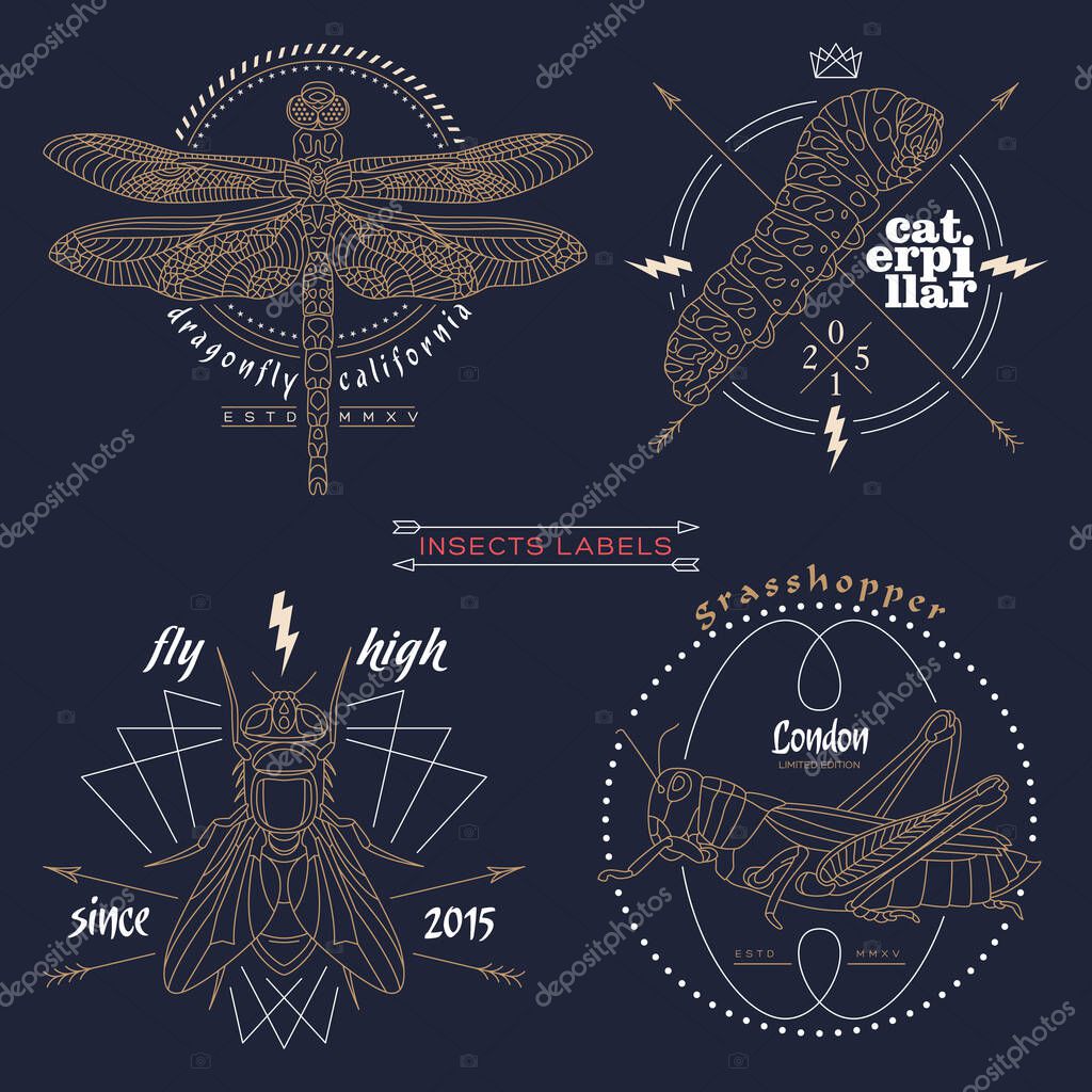 etiquetas e insignias de insectos 2024
