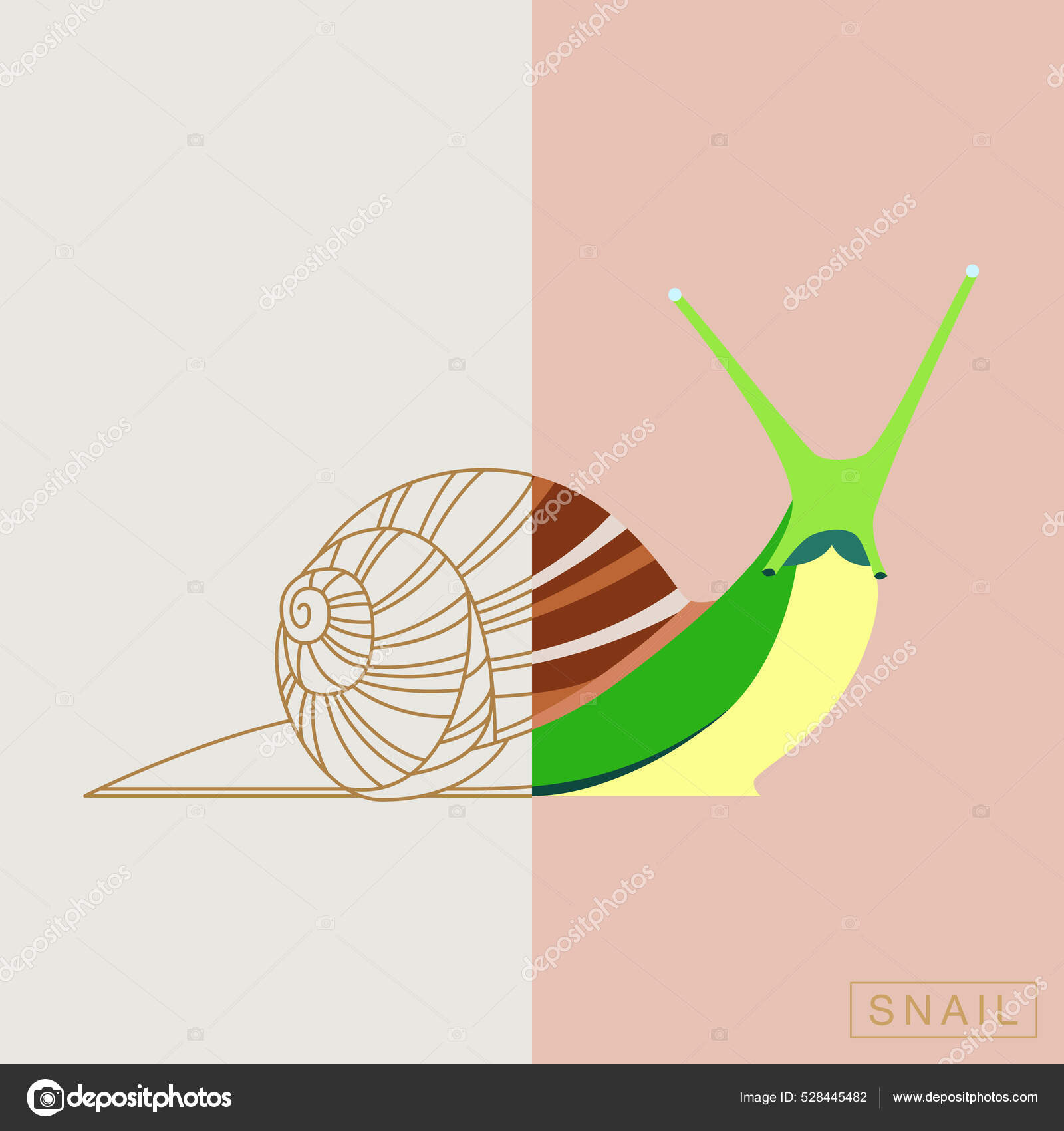 Snail Drawing Label