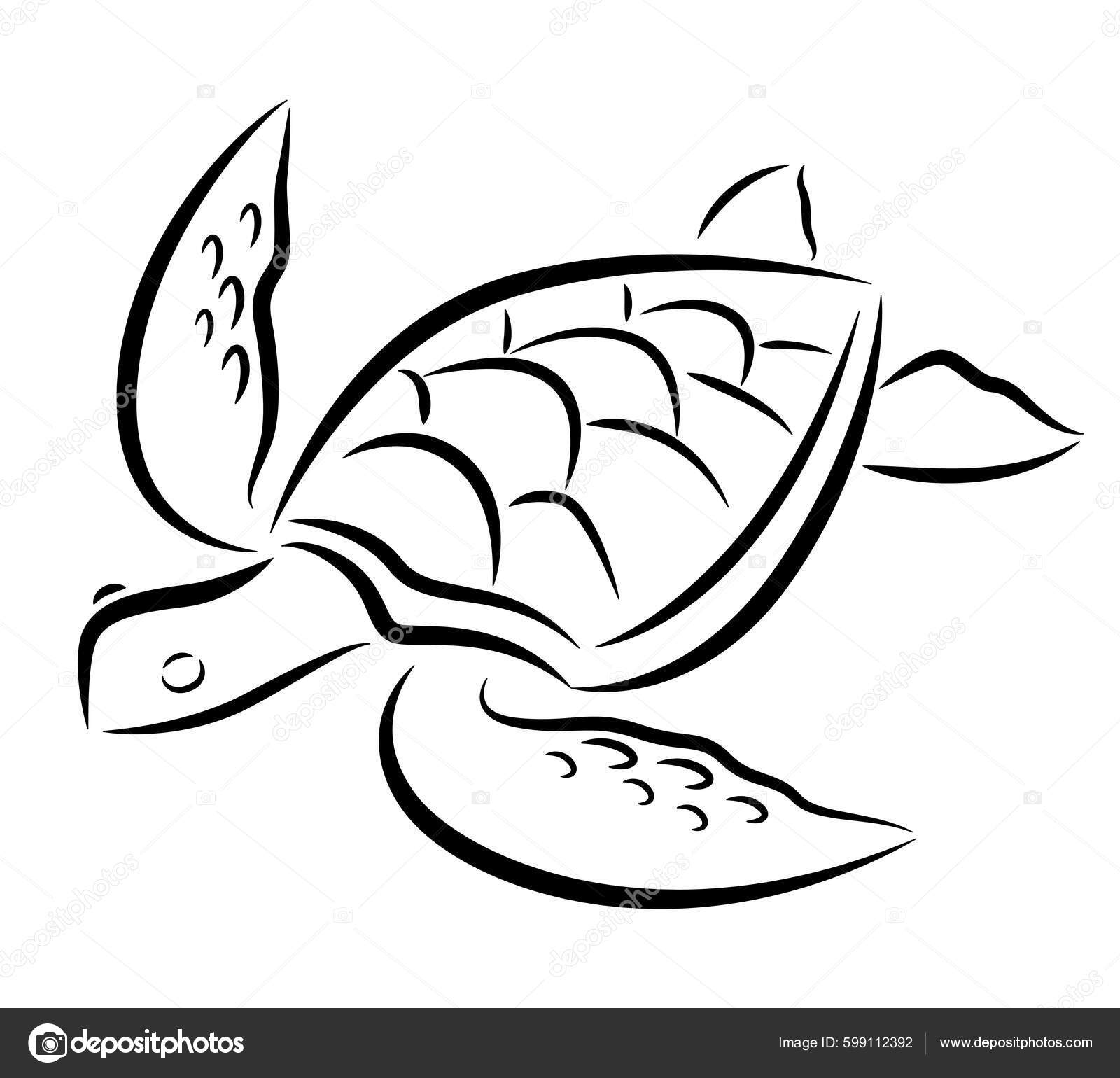 Turtle Outline Drawing