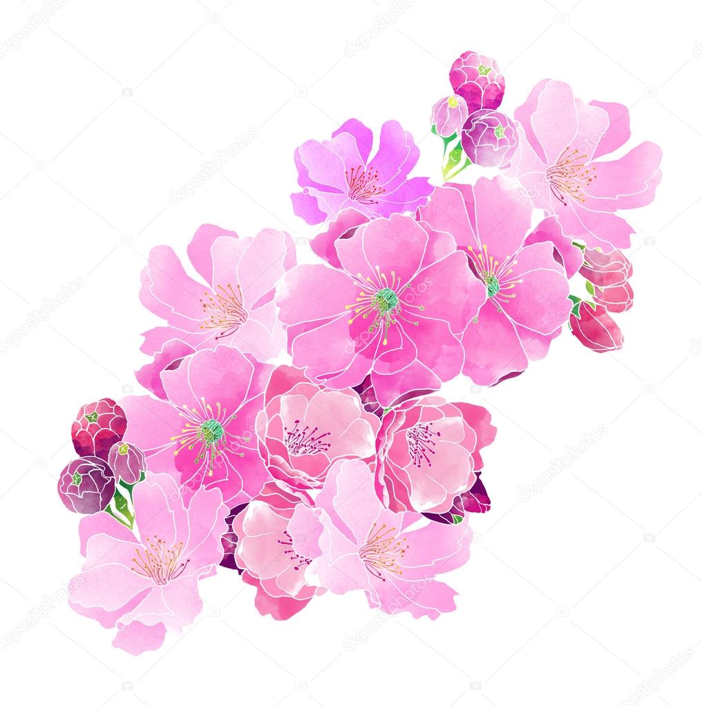 Watercolor cherry blossoms — Stock Photo © aigann #45370365