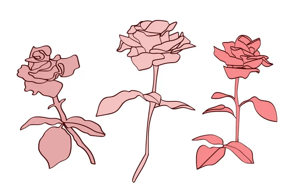 Tumblr Roses Drawing