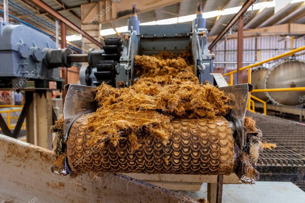 Máquina para moler agaves para la producción de tequila o mezcal. 2022