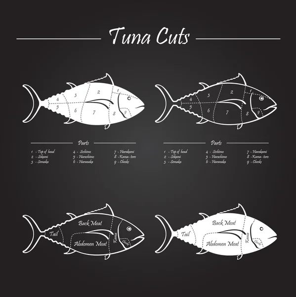 Fish cuts Vector Art Stock Images | Depositphotos