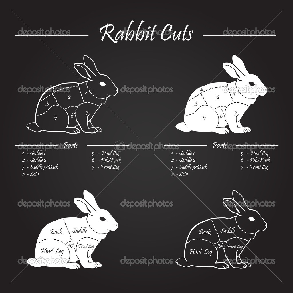 RABBIT meat cuts scheme - chalkboard Stock Vector by ©ONiONAstudio 45218291