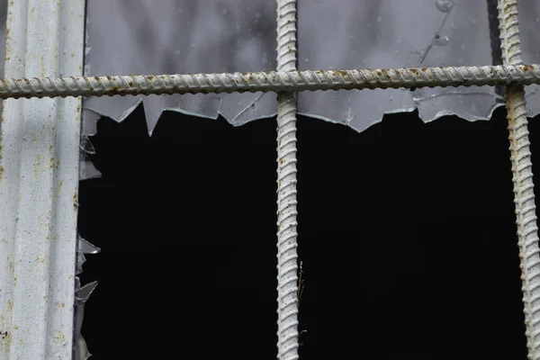 Pessoas segurando celular Stock Photos, Royalty Free Pessoas segurando ...