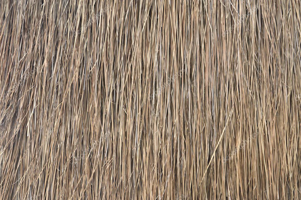 textura de fondo de paca de heno o fondo de hierba seca. Fondo ...