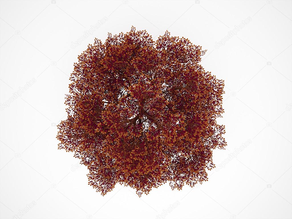 Red autumn tree on top isolated — Stock Photo © pupes #46629793