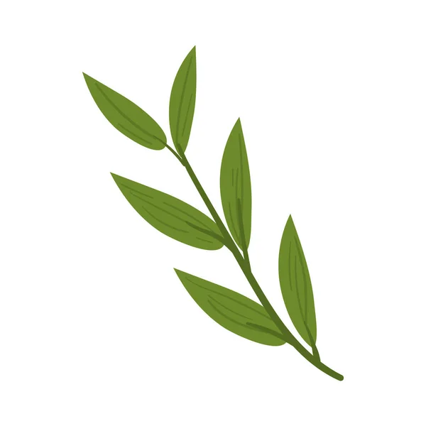 100,000 Olive branch Vector Images | Depositphotos