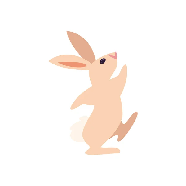 16,009,276 Bunny hopping Vector Images | Depositphotos