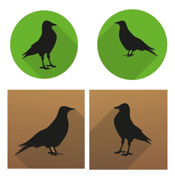 232 Jackdaw Vector Images - Free & Royalty-free Jackdaw Vectors ...