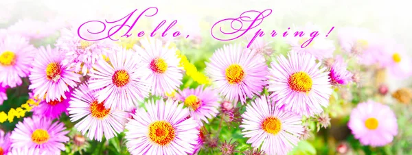 Happy friday spring Stock Photos, Royalty Free Happy friday spring ...