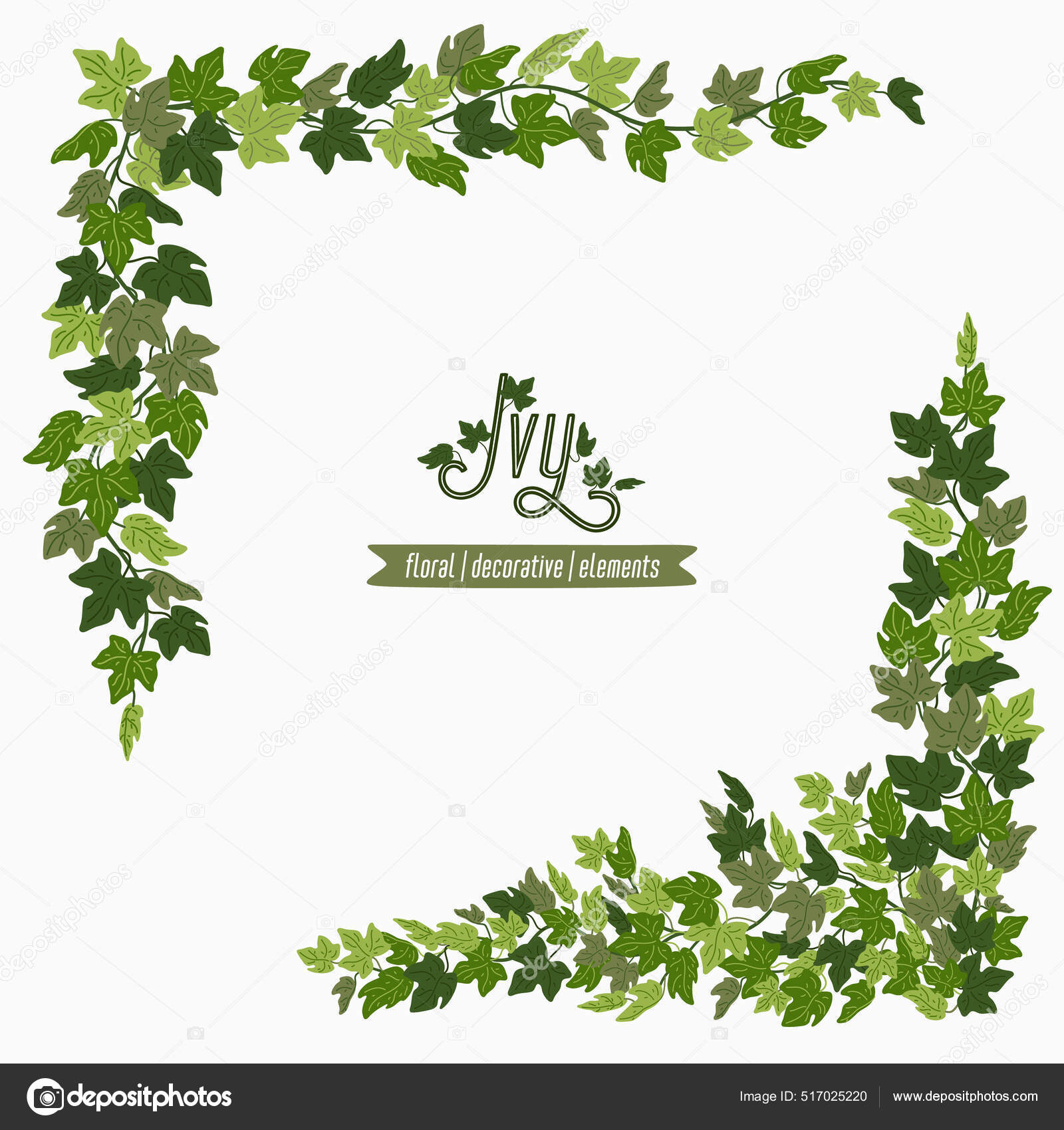 Ivy corners, green vines decorative frame or design elements isolated ...