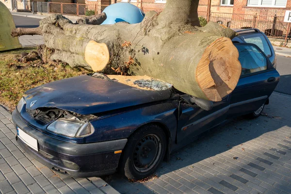 Accident car tree Stock Photos, Royalty Free Accident car tree Images ...