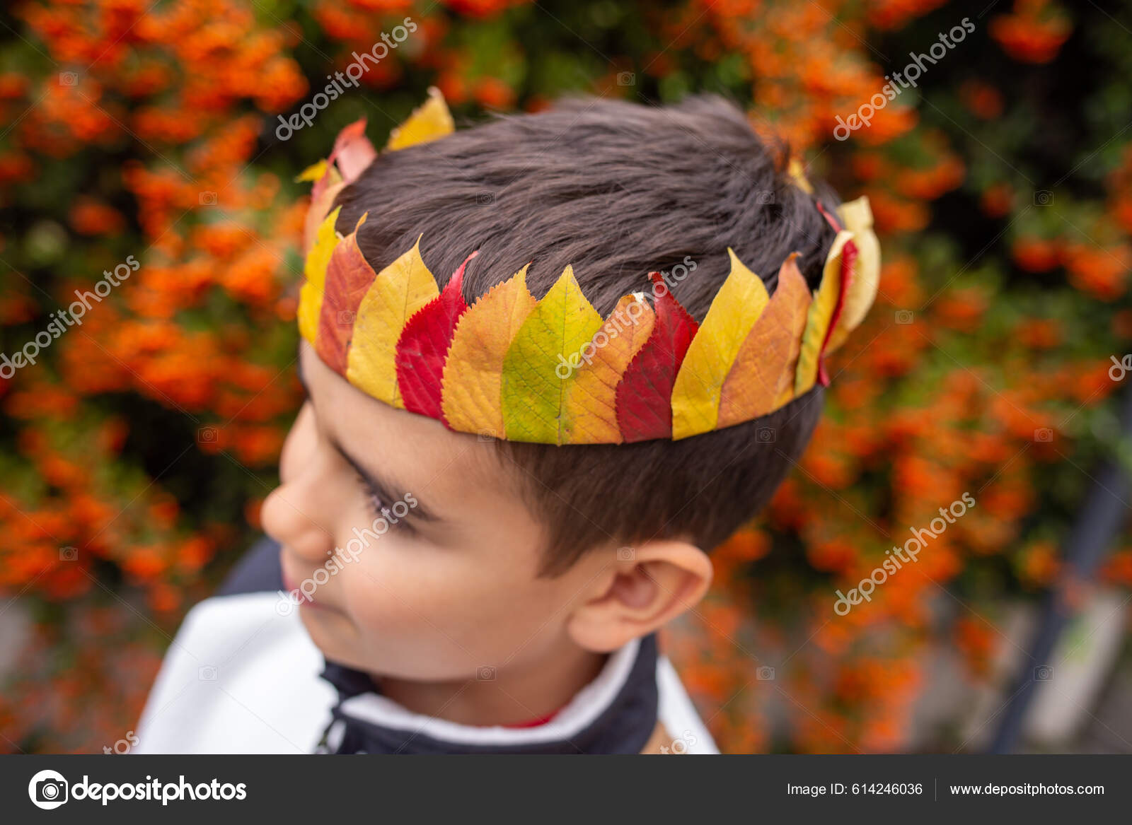 Boy Autumn Nature Forest Crown Autumn Leaves Craft Nature Study — Stock ...