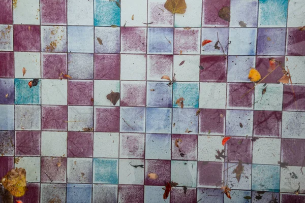 Beautiful colorful mosaic tile with autumn leaves and water in the pool ...