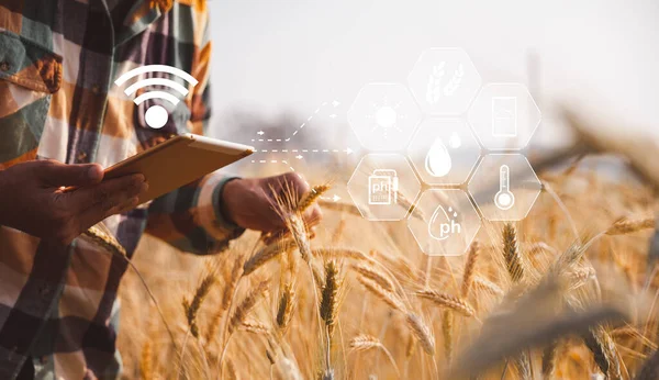 Smart farming concept. Farmer with technology digital tablet on ...