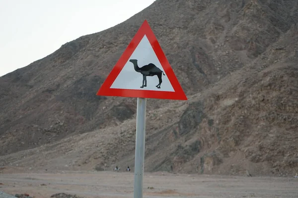 Camel crossing sign Stock Photos, Royalty Free Camel crossing sign ...
