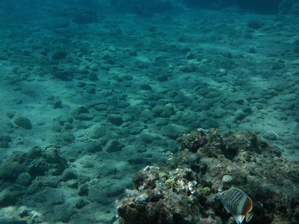 Red sea split Stock Photos, Royalty Free Red sea split Images ...