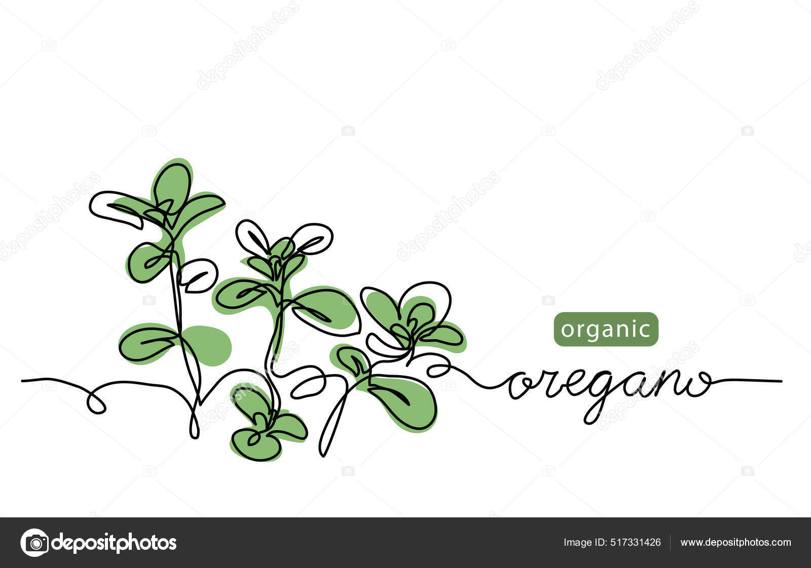 Oregano Leaf Vector