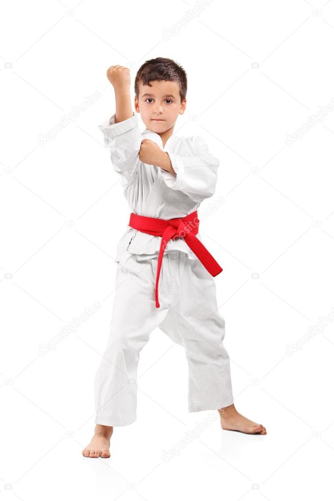 Karate kid posing Stock Photo by ©ljsphotography 45862751