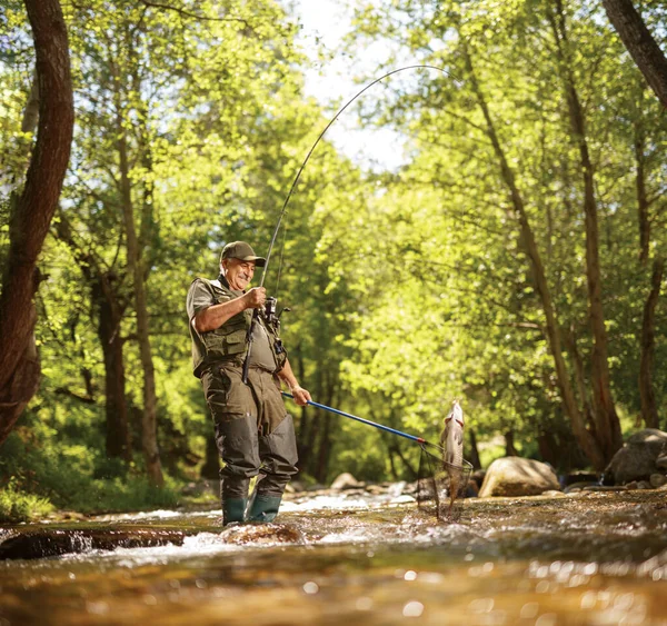 Fisherman catching a carp fish with a rod and a net on a river - Stock ...