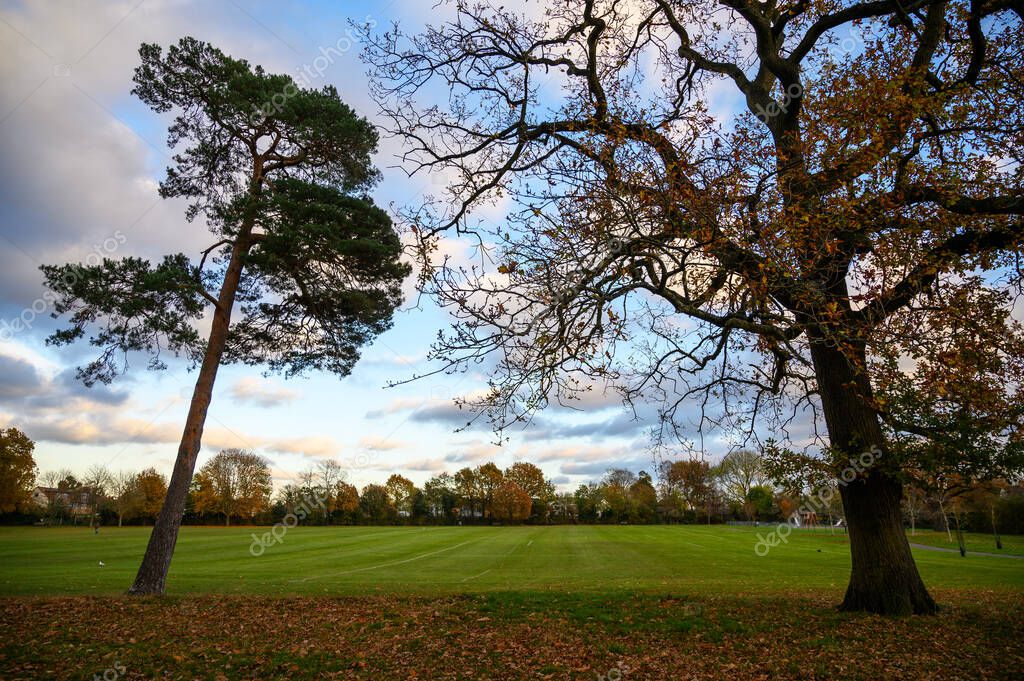 Árboles otoñales en Blake Recreation Ground en West Wickham, Kent ...