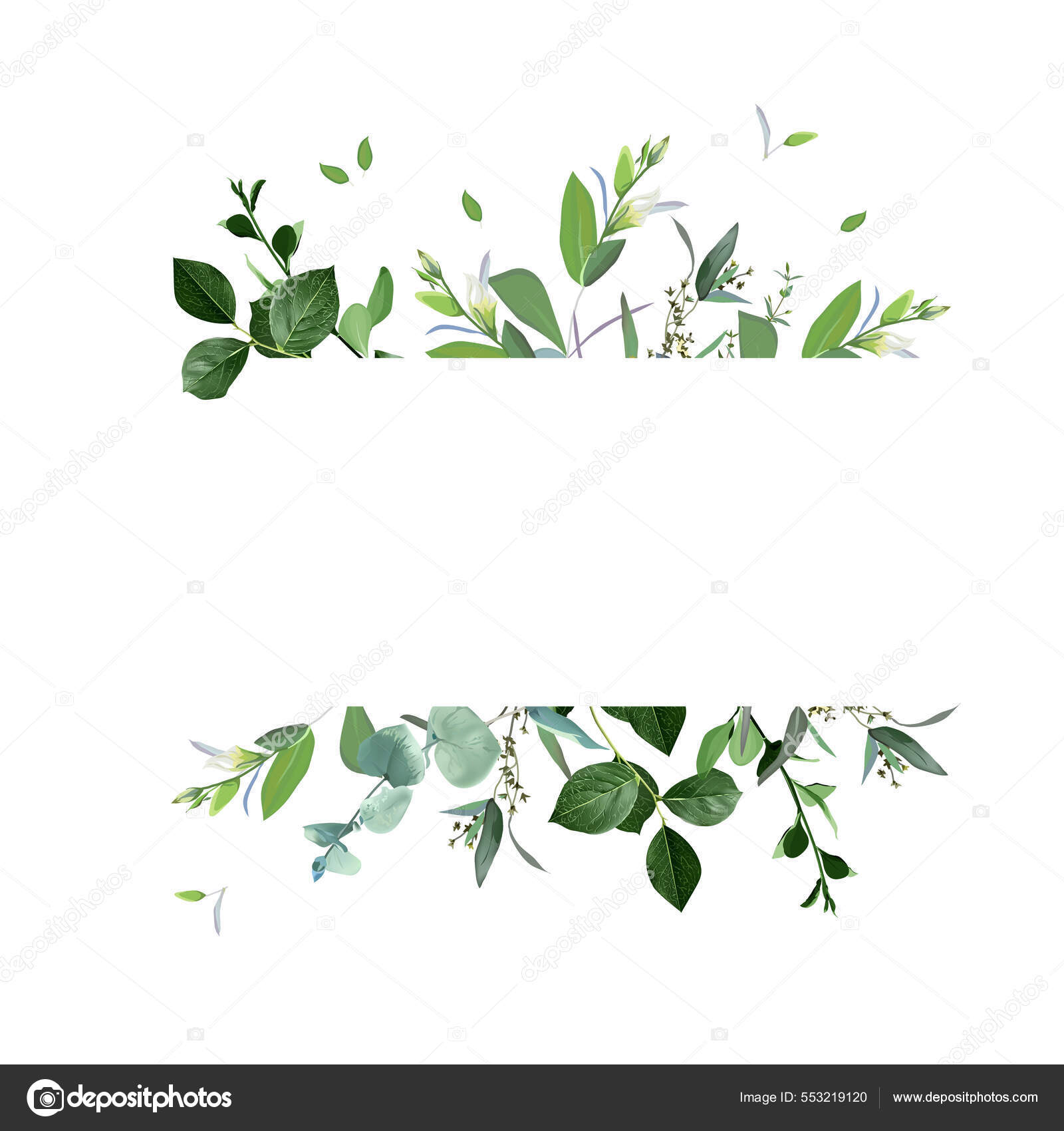 Herbal horizontal vector frame. Hand painted plants Stock Vector by ...