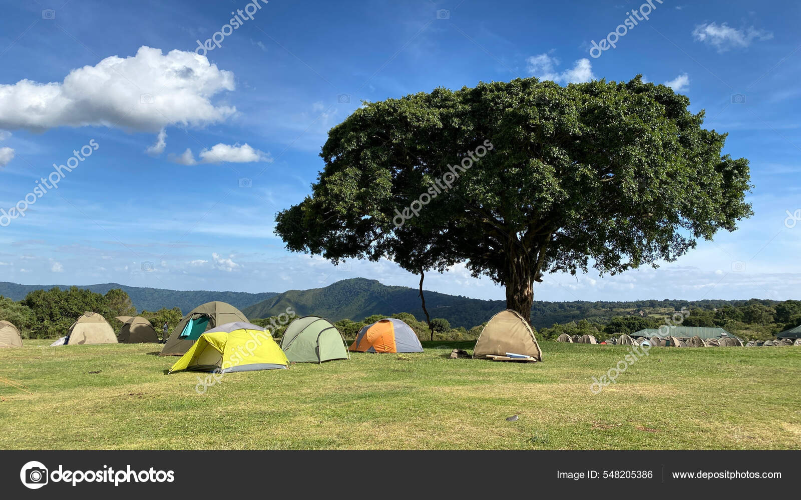 Tents Stand Large Tree Camp Simba Green Hills Blue Sky Stock Photo by ...