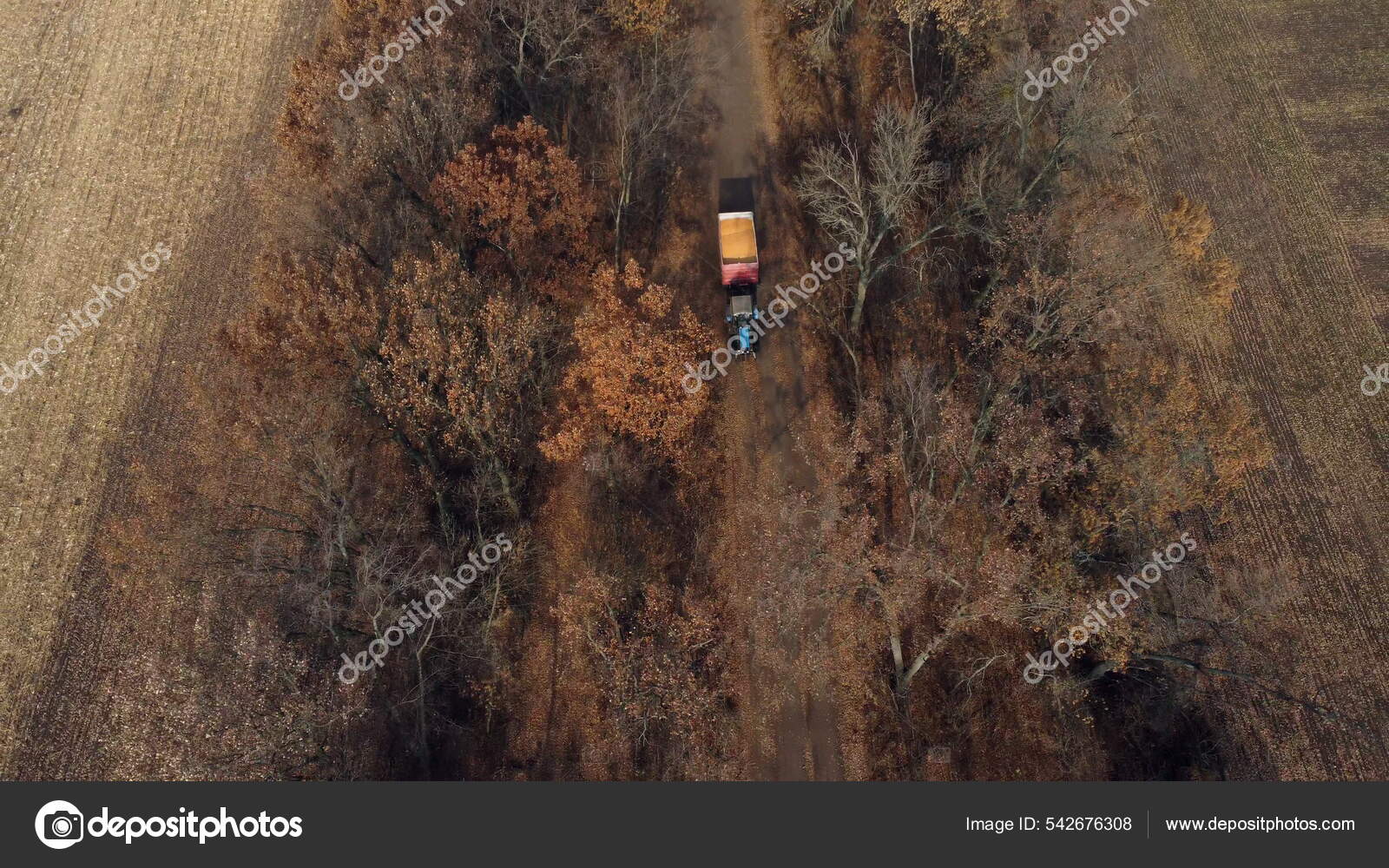 Aerial Drone View Flight Over Blue Tractor With Trailer Filled Yellow ...