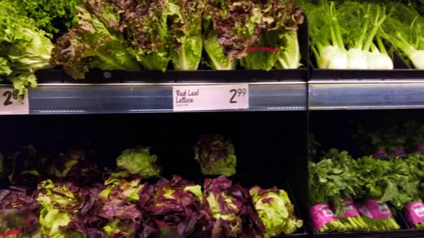 14 Mini wortelen Videos, Royalty-free Stock Mini wortelen Footage ...